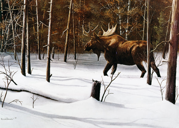 Winter Forage | McGaw Graphics