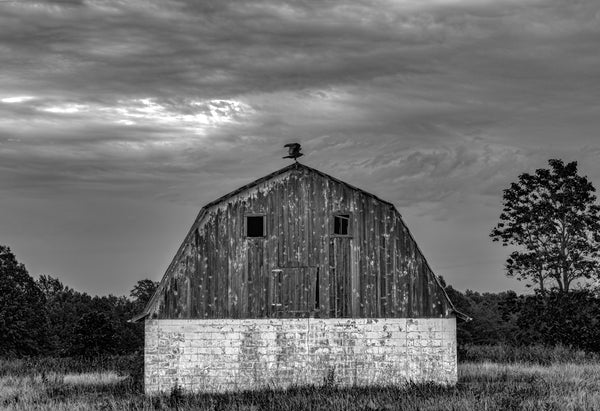 The Look Out | McGaw Graphics