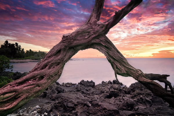 Tropical Sunset | McGaw Graphics