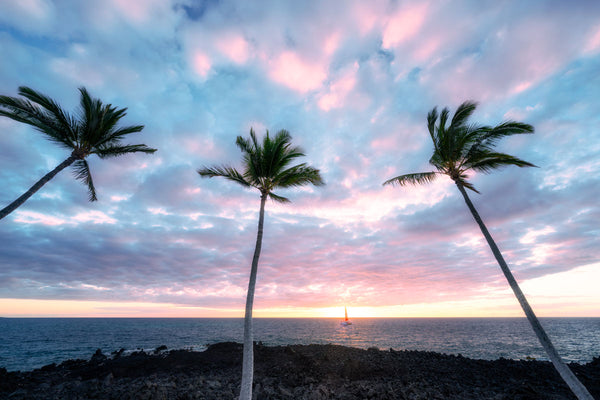 Tropical Sunset II | McGaw Graphics