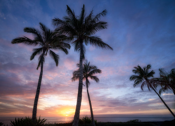 Tropical Sunset III | McGaw Graphics