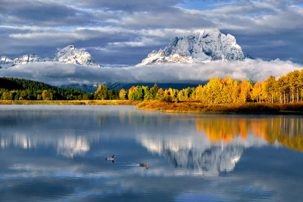 Perfect Reflection | McGaw Graphics