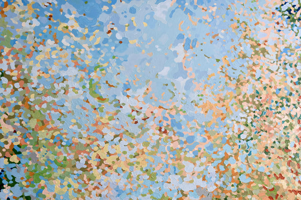 Soft Light | McGaw Graphics