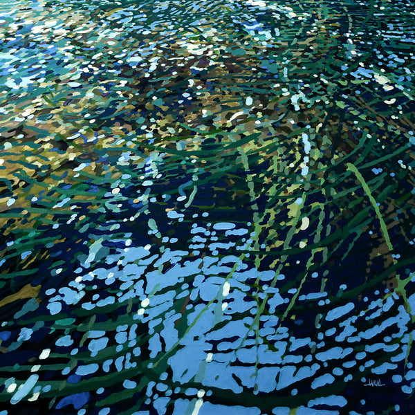 Oasis Reflections | McGaw Graphics