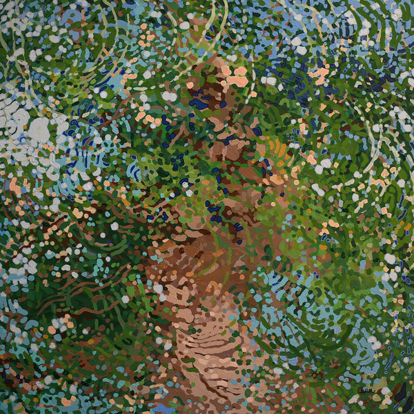 Coconut Palm Tree Reflecting | McGaw Graphics