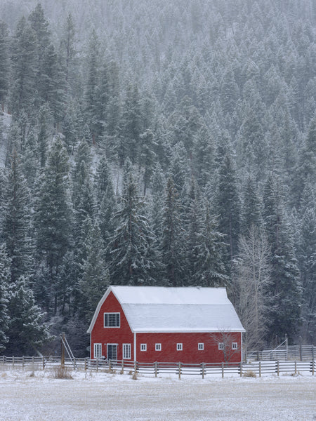 Winter in Sula | McGaw Graphics