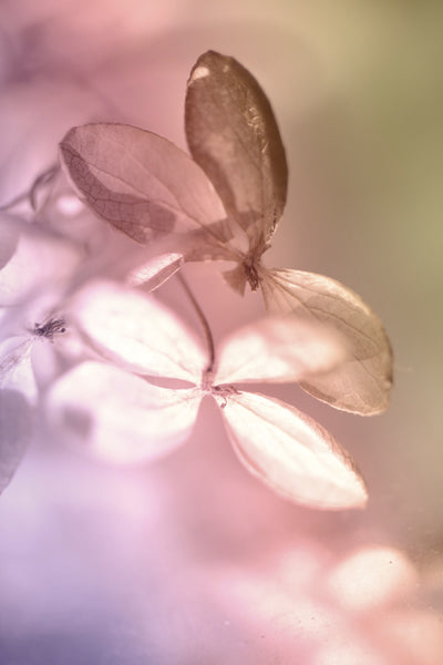 Light | McGaw Graphics