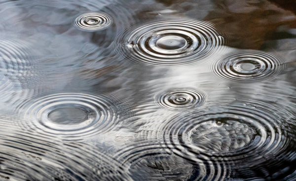 Capillary Waves | McGaw Graphics