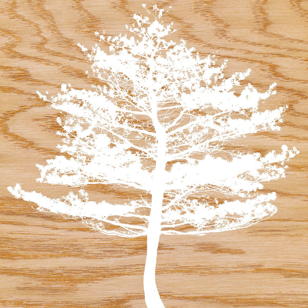 Frosty Tree | McGaw Graphics