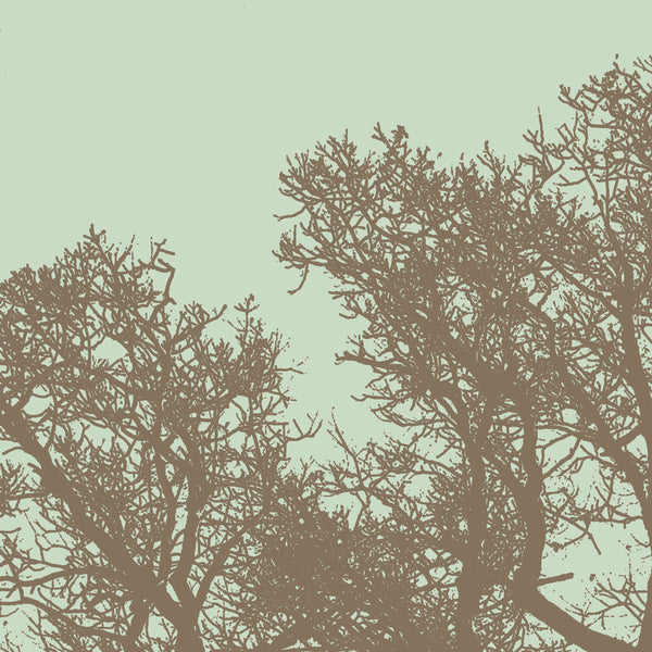 Winter Tree I | McGaw Graphics