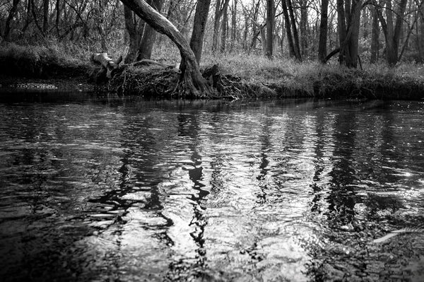 Bank Study #1 | McGaw Graphics