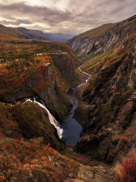 Fall | McGaw Graphics