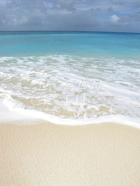 Bleu 1 | McGaw Graphics