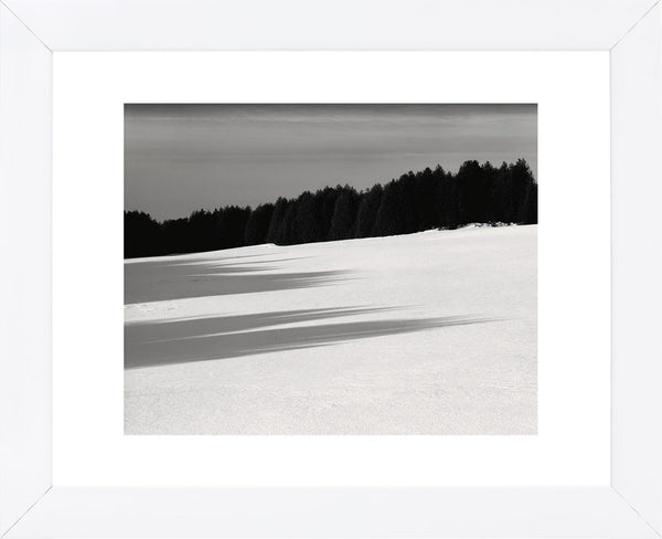 Tree, Study #7 (Framed) | McGaw Graphics