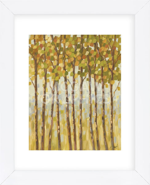 Tall Trees (Framed) | McGaw Graphics