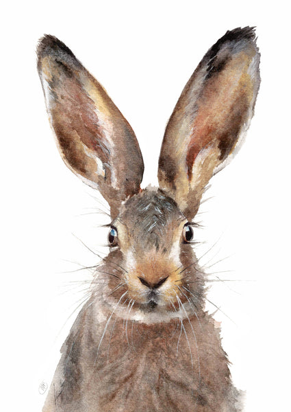 Jack Hare | McGaw Graphics