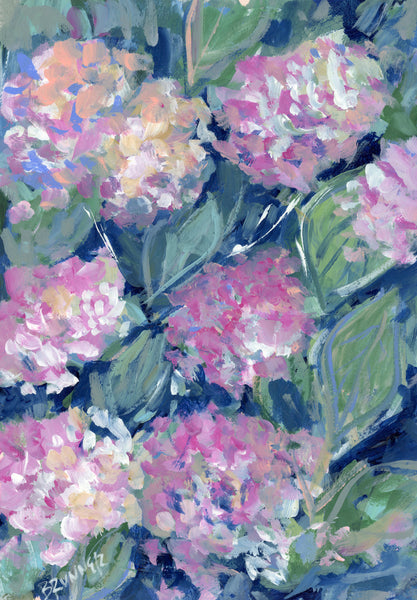 Island Hydrangeas | McGaw Graphics