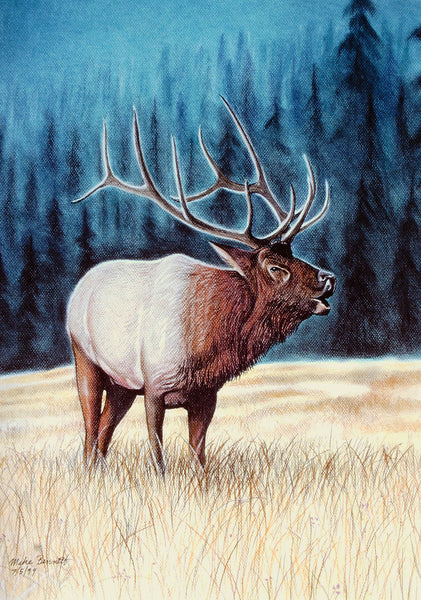 Bugler #2 | McGaw Graphics