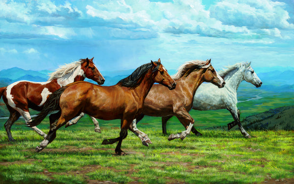 Windswept | McGaw Graphics