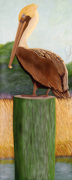 Blue Eyed Pelican II | McGaw Graphics