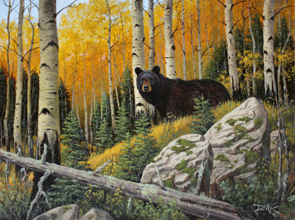 The Wanderer | McGaw Graphics