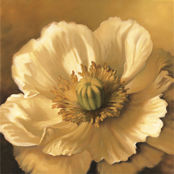 Poppy Portrait | McGaw Graphics