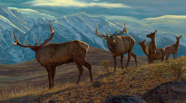 The Challenge (Elk) | McGaw Graphics