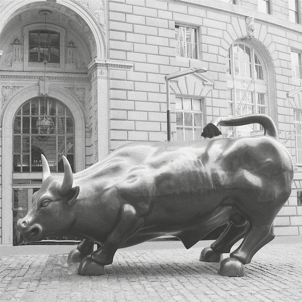 Positive Outlook | McGaw Graphics