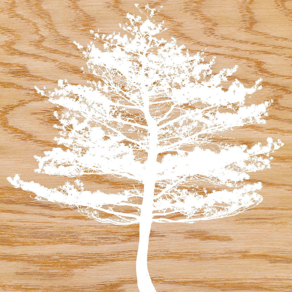 Frosty Tree | McGaw Graphics
