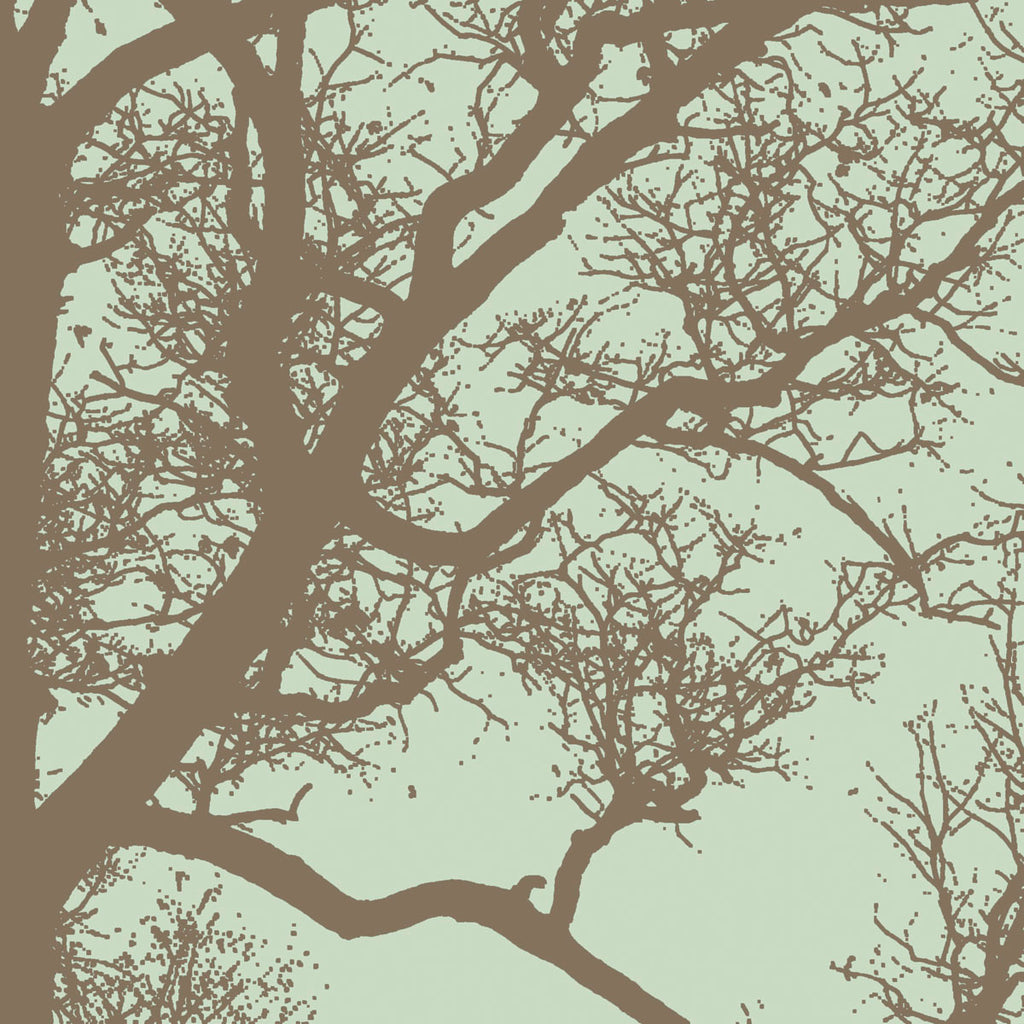 Winter Tree IV | McGaw Graphics
