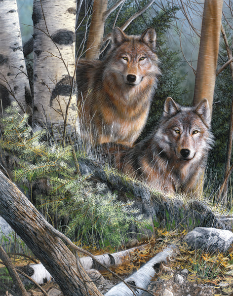 Watchful Eyes | McGaw Graphics