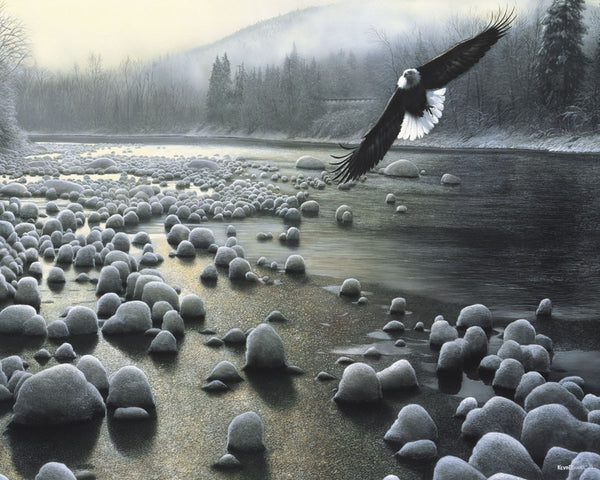 Eagle Over Water | McGaw Graphics