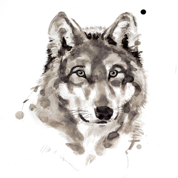 Wolf | McGaw Graphics