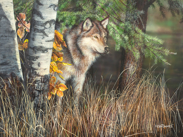 Presence - Wolf | McGaw Graphics