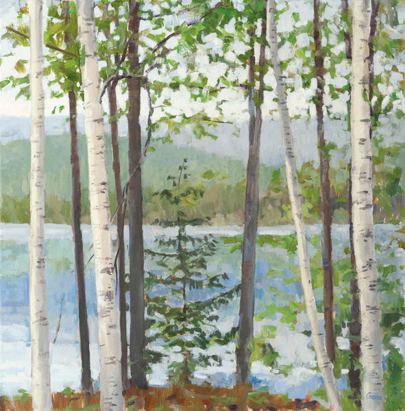 Cooper Lake I | McGaw Graphics