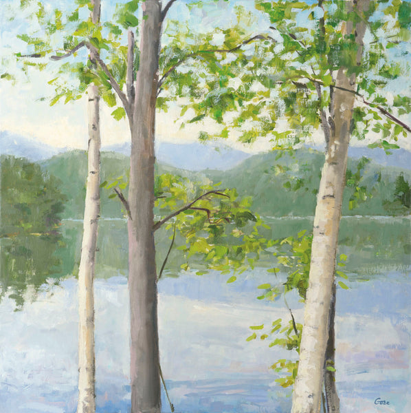 Cooper Lake II | McGaw Graphics