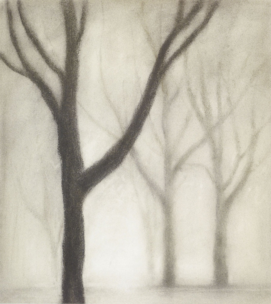 Forest I | McGaw Graphics
