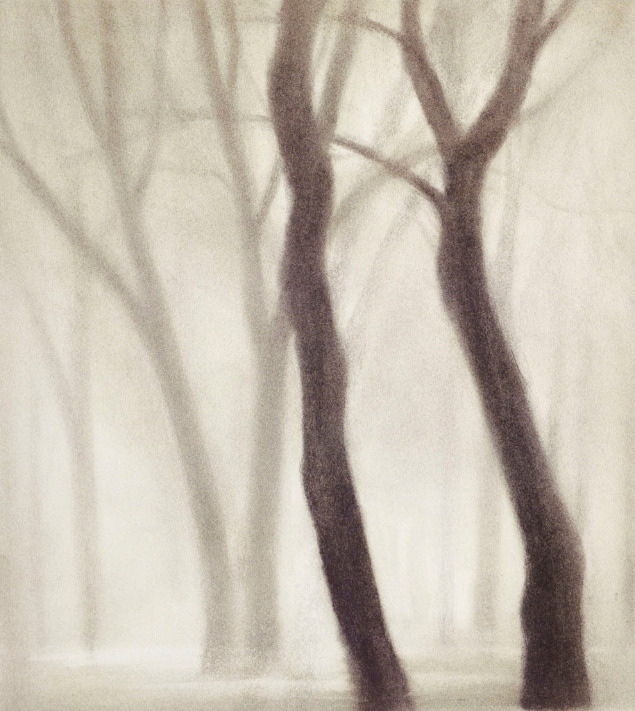 Forest III | McGaw Graphics