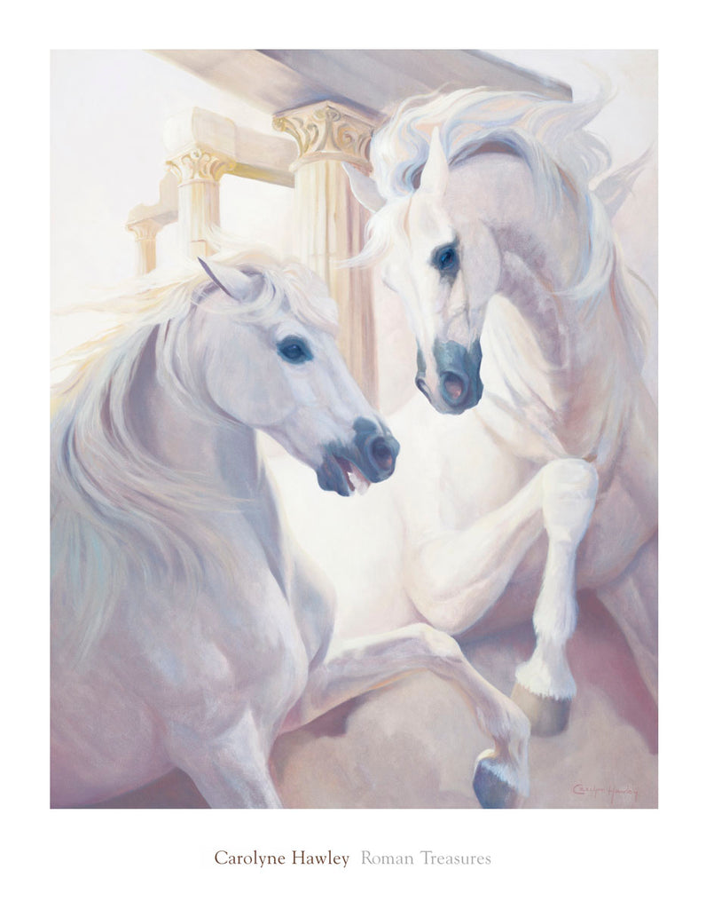 Roman Treasures | McGaw Graphics