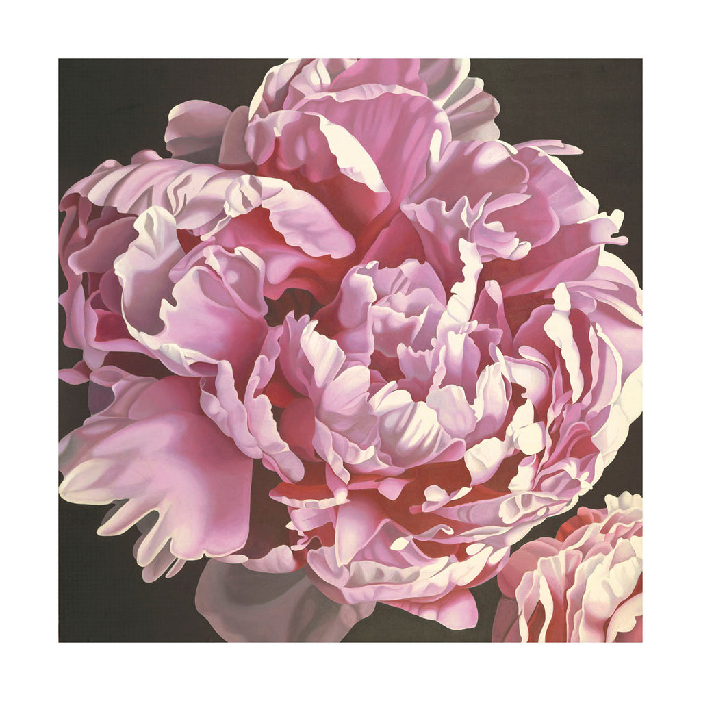 Peony I | McGaw Graphics