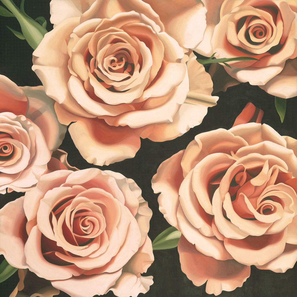 Roses | McGaw Graphics
