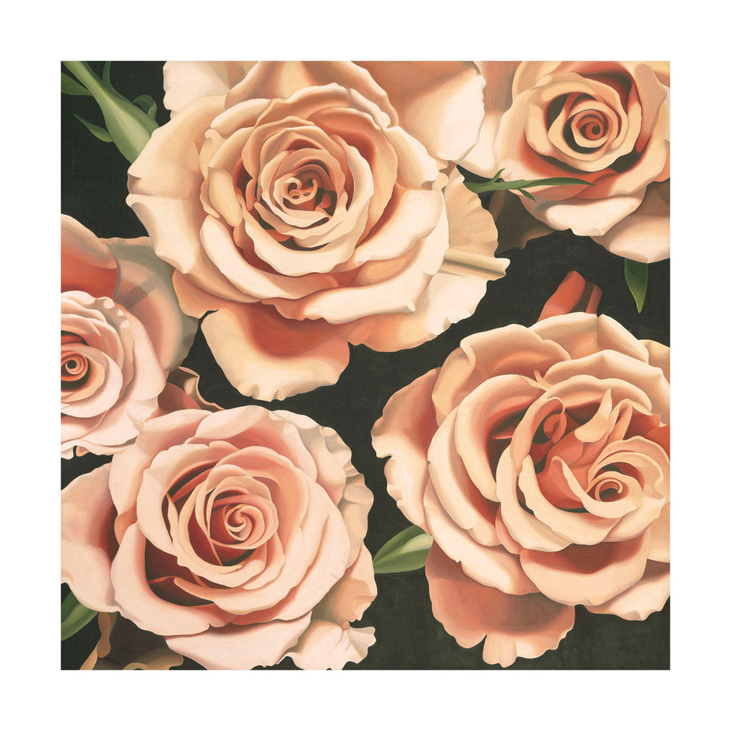 Roses | McGaw Graphics