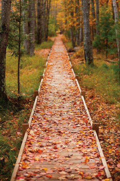 Straight Path | McGaw Graphics