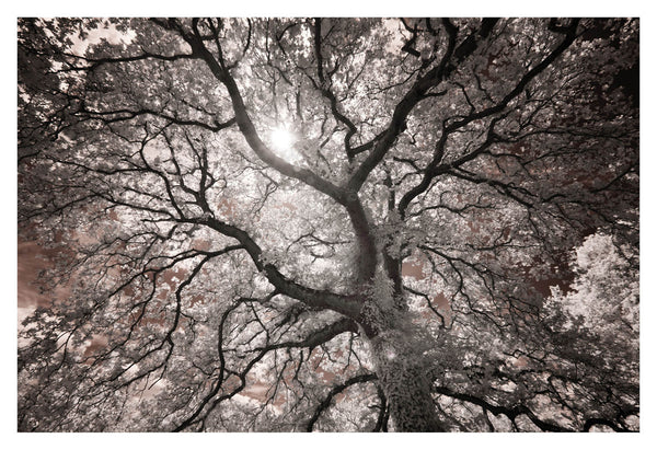 Ethereal Tree | McGaw Graphics