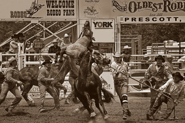 Rodeo Daze | McGaw Graphics