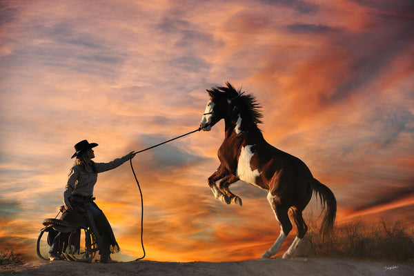 Whoa Boy (Color) | McGaw Graphics