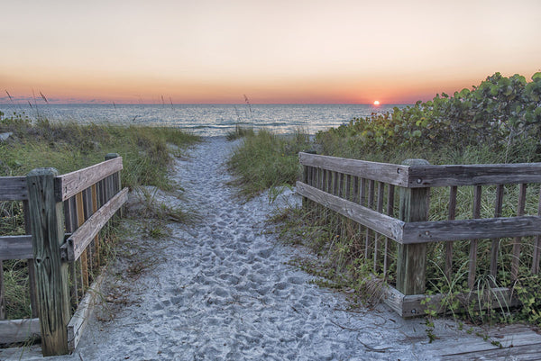 Evening Walk | McGaw Graphics