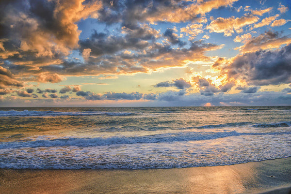 Last Light | McGaw Graphics