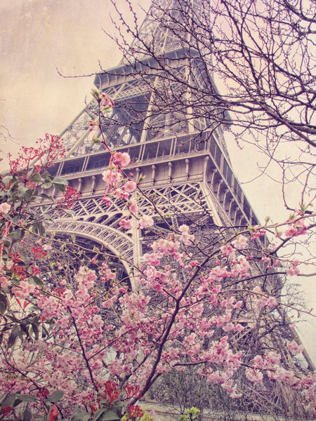 April in Paris | McGaw Graphics