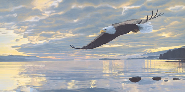 Dawn Flight | McGaw Graphics